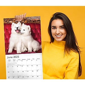 Puppies 2023 Hangable Wall Calendar - 12" x 24" Open - Cute Funny Dog Photo Gift - Sturdy Thick Puppy Dogs Photography - Large Full Page 16 Months for Organizing & Planning - Includes 2022