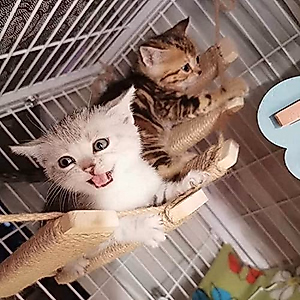 AGRICUE Cat Climbing Frame Outdoor Cat Tree Wall Climbing Bridge Climbing Rope Ladder for Cat Pets Climbing Frame for Wall Cat Wall Furniture Hemp Rope 20 inch Ladder