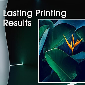 SHUPAN 122 122XL Ink Cartridges Replacement for HP 122 Ink Cartridges for HP Deskjet 1000 1050 2050s 2050 3050A 3000 Laser Printer (1 Black, 1 Tri-Color)