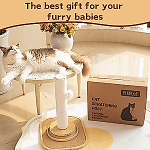 PLUROOF Cat Scratching Post, Cat Scratcher, 4-in-1 Premium Sisal Scratching Pad and Paper Rope Scratching Post with Interactive Track Toys and Dangling Plush Ball for Indoor Cats