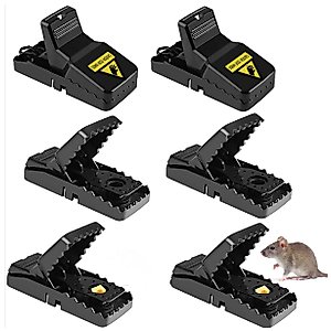 MATROTEL 6 Pack Rat Traps - Indoor/Outdoor Quick Effective Reusable Rat Snap Traps for Small to Large Rats, Instantly Kills with Powerful Steel Spring-Loaded Snap Trap