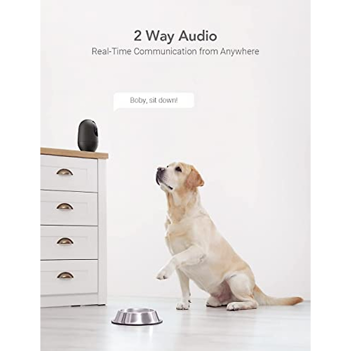 Nooie Pet Feeder and Pet Camera 2K, 360°Pan/Tilt Smart Automatic Cat Feeder, 2.4GHz Wi-Fi, 3.8L Dry Food Dispenser,Portion Control,Low Food Detection, Wi-Fi Baby Monitor Night Vision, Two-Way Audio