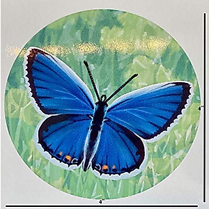 Retractable Screen Door Decals (Stickers) - 6 per Package - Keep Children Safe - Alert Birds, Dogs, Kids - Warn, Protect, Window Safety - Butterflies