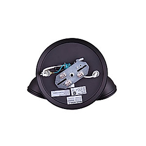 CANARM ICW622A02ORB10 LTD Polo 2 Light Ceiling/Wall, Oil Rubbed Bronze with Adjustable Heads