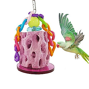 Keersi Natural Calcium Stone Bird Chew Toy for Parrot Budgies Parakeet Cockatiels Conure Finch Lovebird African Greys Cockatoo Amazon Hamster Rat Chinchilla Rabbit Gerbils Cage Parts (Random Color)