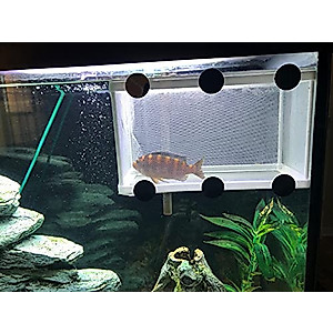 Large Fish Breeder Net with Suction Cups,Nylon Mesh Fish Fry Hatchery Breeder Isolation Box Separation Net for Fish/Plants/Shrimp Fish on Aquarium Tank