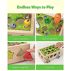 Coogam Montessori Fine Motor Toys for Baby Toddler, Wooden Shape Sorter Carrot Harvest Game, Preschool Learning Educational Gift Toy for 3 4 5 Year Old