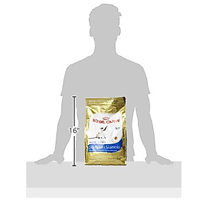 Royal Canin Siamese Breed Adult Dry Cat Food, 6 lb bag