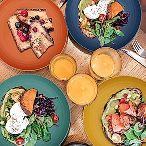 Wrova Wheat Straw Plates - 9 Inch Unbreakable Dinner Plates Set of 8 - Dishwasher & Microwave Safe Plastic Plates Reusable - Lightweight Plates for kitchen,camping (Colorful Series)