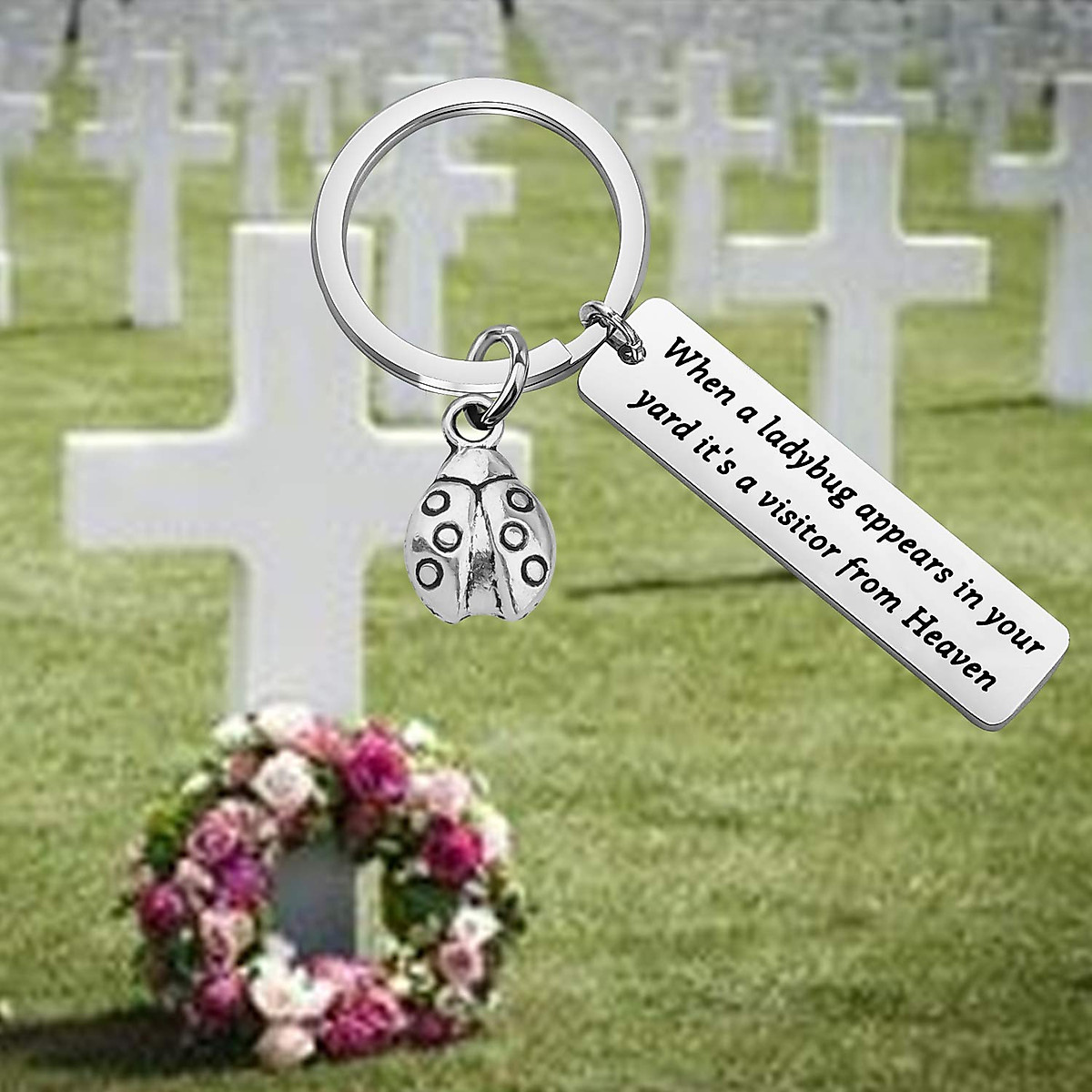 FAADBUK When A Ladybug Appear (Ladybug Appear Keychain)