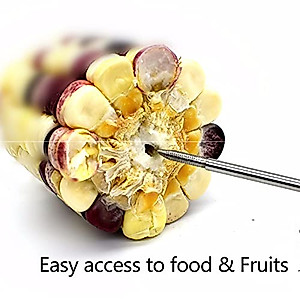 Bonaweite 2 Pack Bird Food Holder, Pet Parrot Feeders, Stainless Steel Birds Fruit Vegetable Stick Holders, Foraging Toy, Bird Treat Skewer