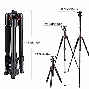 BONFOTO B690A Camera Tripod for Travel,Lightweight Aluminum Portable DSLR Tripod with 360 Degree Ball Head and Carry Bag, Camera Stand for Ring Light & Canon Nikon Sony DSLR