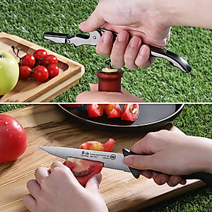 Cangshan Horizon Series 1026689 Swedish 14C28N Steel 7-Piece Travel Knife Bag Set