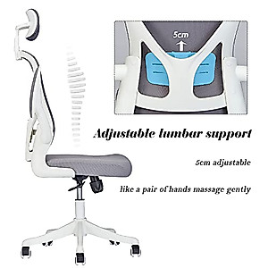 Dedeo Ergonomic Office Chair, Home Office Computer Chair, High Back Mesh Desk Chair with Adjustable Lumbar Support and Headrest, Tilt Function, Thick Seat Cushion Breathable Mesh Computer Chair