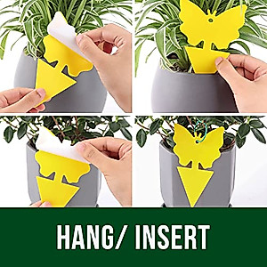 Garsum Gant Traps for Indoors,Fruit Fly Bugs Trap, Yellow Sticky Fungus Knit Killer for Houseplant,Mosquito, Flying Insert, White Flies,18 Pack
