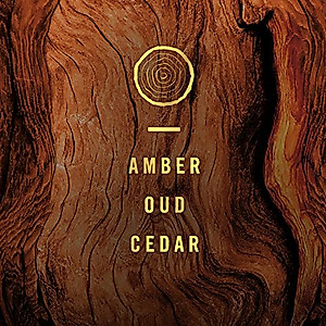 Febreze Origins Fade Defy PLUG Air Freshener & Odor Fighter, Wood, (2) .87 fl. oz. Oil Refills