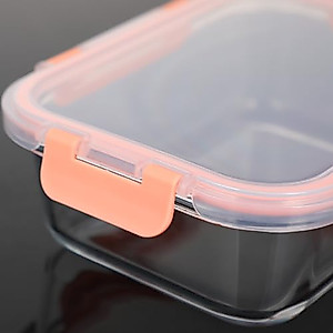 Scizorito 10PACK Glass Meal Prep Containers, for Lunch Food & Fruit Storage with Lids,Glass Lunch Box for Kitchen (10-Pink)