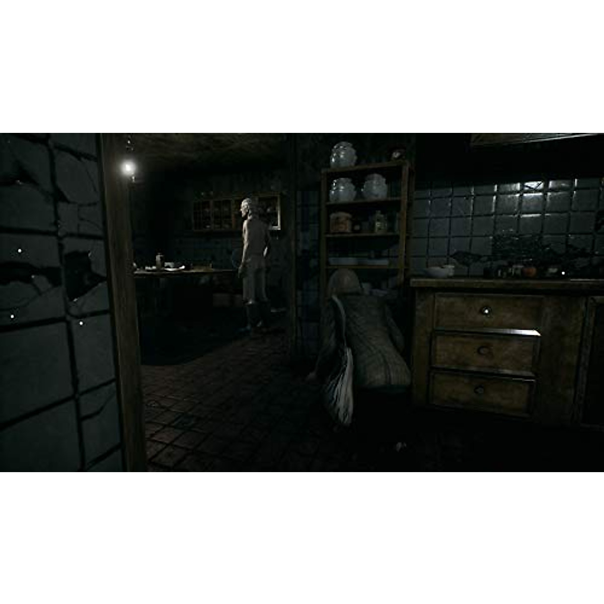 Remothered: Tormented Fathers - PlayStation 4