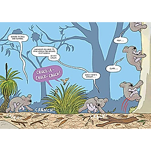 Surviving the Wild: Rainbow the Koala