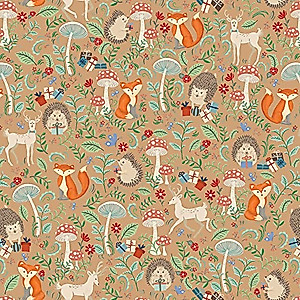 Jillson Roberts 6-Roll Count Baby Gift Wrap Available in 5 Different Designs, Krafty Fox