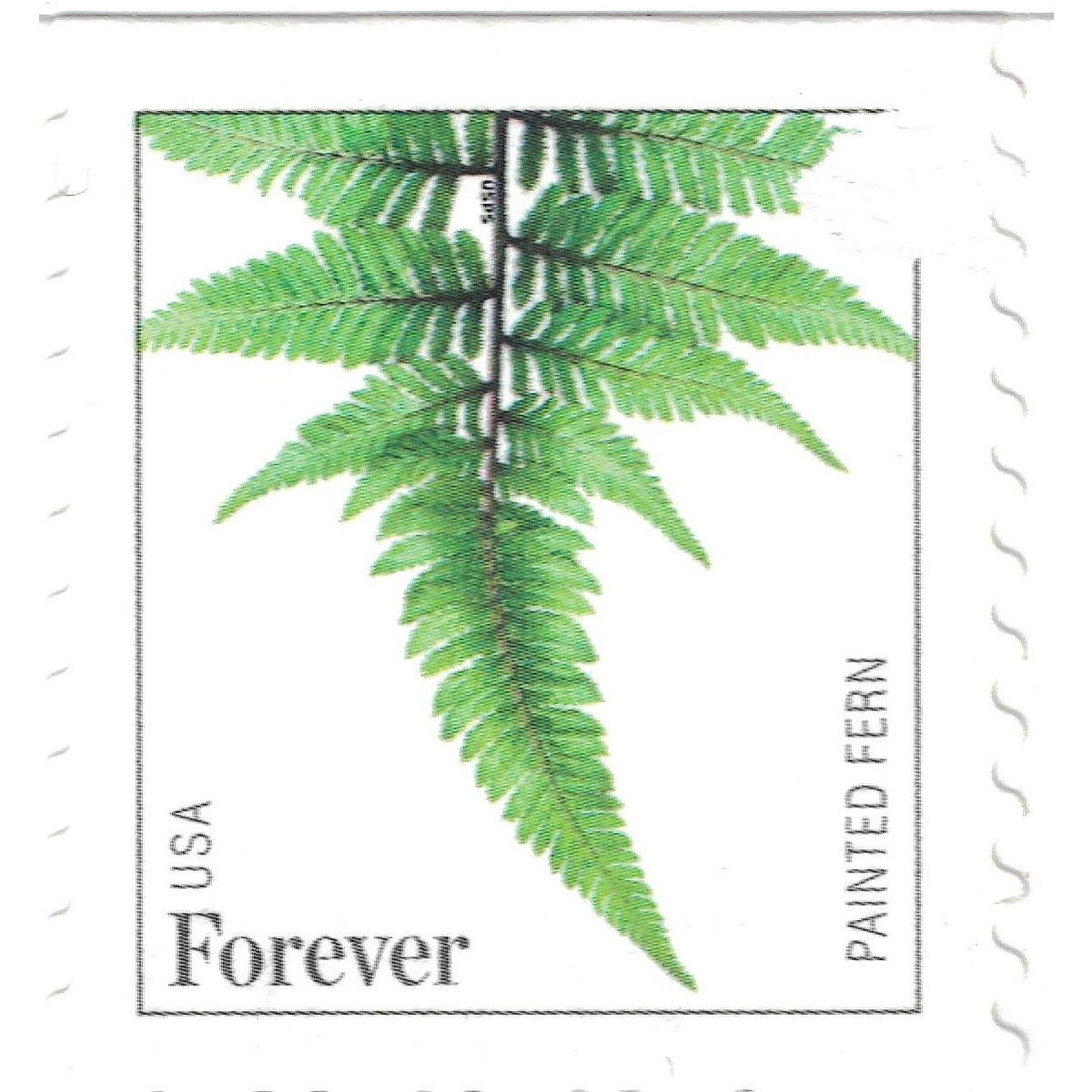 USPS Ferns Stamps - 50 Forever Stamps (5 Strips of 10 Stamps)