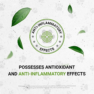 Lion's Heart | Natural Herbal Dietary Supplement for Cats | Healthy Heart Function Support in Cats | Alcohol-Free Extract, Hawthorn, Dandelion Leaf, Wood Betony, Valerian 2 oz