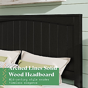 AMERLIFE Queen Size 48.4" Solid Wood Bed Frame, Mid Century Modern Platform Bed with Arched Lines Headboard, No Box Spring Needed/Noise Free, Black