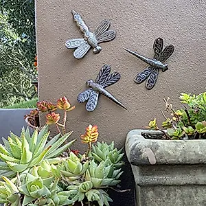 It's Cactus Set of 3 Small Garden Dragonflies 6 Inches, Decorative Wall Hanging Plaques, Indoor Outdoor, Fall Decorations, Handmade, Fair Traded Haitian Artwork