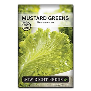 Sow Right Seeds - Greenwave Mustard Greens Seed for Planting - Non-GMO Heirloom Packet with Instructions to Plant and Grow an Outdoor Home Vegetable Garden - Culinary Herb - Wonderful Gardening Gift
