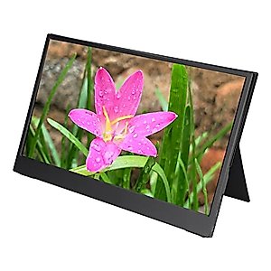 Acouto 13.3 Inch Monitor Aluminum Alloy Plastic Portable 1440P HD IPS Screen Monitor Type C External Screen for for Phone Laptop
