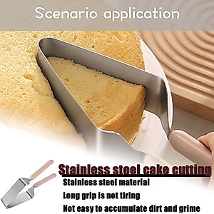 YIRUIDD Cake Divider Stainless Steel Triangular Cake Cutting Cake Divider for Cakes Pie Desserts Bread and Pizza