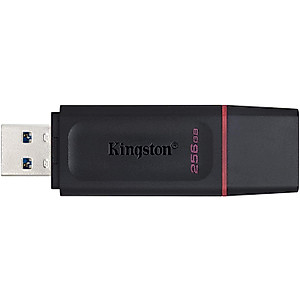 Kingston 256GB Flash Drive DataTraveler Exodia USB 3.2 High Speed 100MB/s USB for Computer (DTX/256GB) Bundle with 1 Everything But Stromboli Lanyard