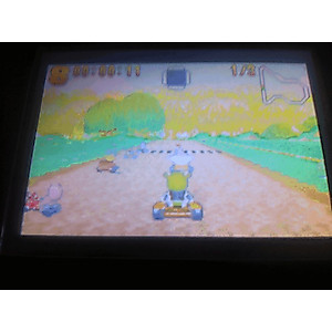 Shrek Swamp Kart Speedway