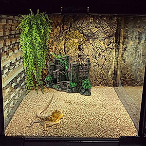 PINVNBY Resin Classical Castle Reptile Habitat Decorations Lizard Hideouts Cave Terrarium Realistic Details Ornament Aquarium Accessories for Chameleon,Snake,Gecko and Hermit Crabs