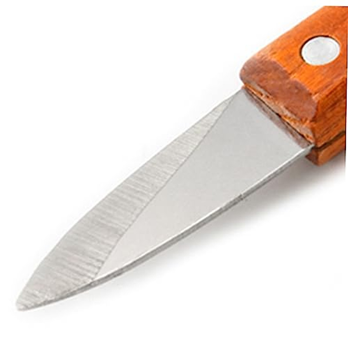 Seafood Tools Seafood Tools Open Shell Tool Oyster Shucker Clam Shucking Tools Shell Cutter Stainless Steel Kitchen Knife Seafood Shucking Tools Oyster Shucking Tools