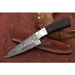 HUNTEX Handmade Hand-Forged Ladder Pattern Damascus Steel 10 Inch Long Full Tang Natural Buffalo Horn Handle Razor Sharp Hunting Camping Skinning Knife w/Genuine Leather Pouch