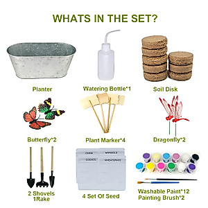 Paint & Plant Flower Growing Kit for Kids - Best Birthday Crafts Gifts for Girls&Boys Age 5, 6, 7, 8-12 Year Old Girl Christmas Gift - Childrens Gardening Kits, Art Crafts Projects Toys for Ages4-12