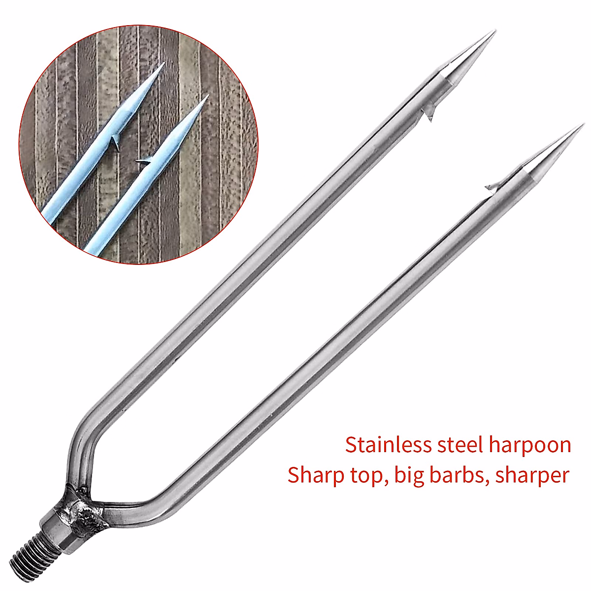 Stainless Steel Fishing Harpoon 2 Prong Fishing Gig Gaff Hook with 8mm Screw for Outdoor Fishing Tackle for Outdoor Fishing Tackle Catching Fish Frog in River Lake-Capable