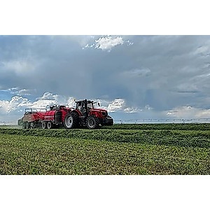 Bulk Fresh Alfalfa Hay 80oz by Bunny Honey - USDA Organic Hay for Small Select Pets, Guinea Pigs, Rabbits, Hamsters - Best Cut & Delivered Fresh - Promotes Healthy Digestive Function - 5 Pound