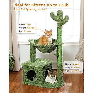 MUTTROS Cactus Cat Tree 40" Cat Tower with Large Metal Carpet Hammock, Cat Scratching Post for Indoor Cats with Condo& Dangling Ball, Green