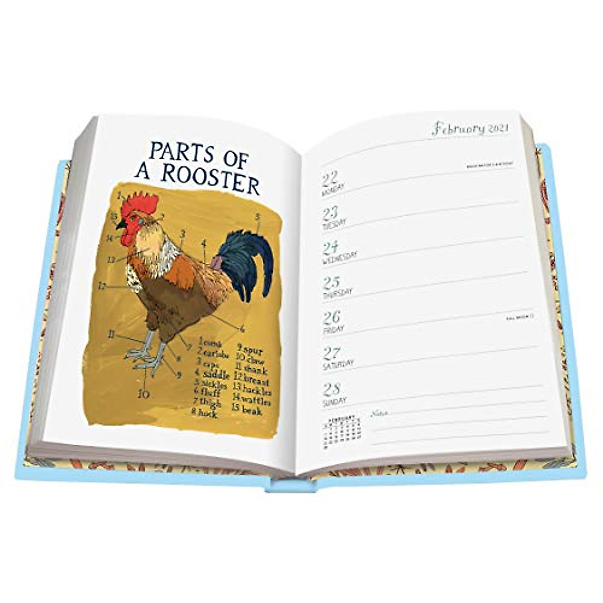 Julia Rothman: Farm, Food, Nature Engagement Calendar 2021