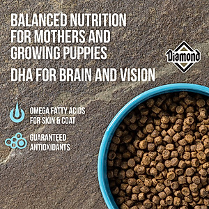 Diamond Premium Recipe Complete And Balanced Dry Dog Food For Growing Puppies, 40Lb