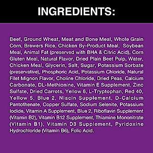 CESAR Small Breed Dry Dog Food Filet Mignon Flavor with Spring Vegetables Garnish Dog Kibble, 12 lb. Bag