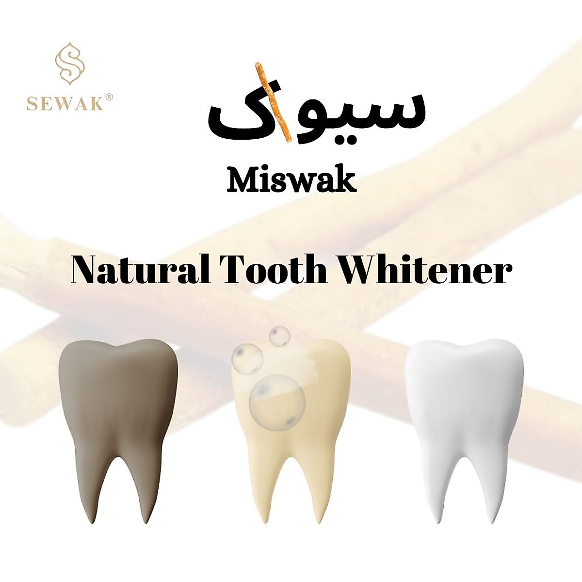SEWAK Meswak Siwak Miswak Sticks Stick Al Muslim Natural Herbal Vacuum Sealed Arak Peelu Natural Brush Toothbrush (10 Tooth Stick)
