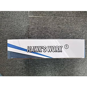 HAWK'S WORK 2 CH RC Airplane, F-22 Plane Ready to Fly, 2.4GHz Remote Control, Easy to Fly RC Glider for Kids & Beginners