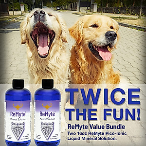 RnA ReSet - ReMyte Electrolyte Mineral Solution, Liquid Multi Mineral, 12 Minerals Including Iodine, Selenium, Zinc, Magnesium, Boron, 480 ml - by Dr. Carolyn Dean (2-Pack)