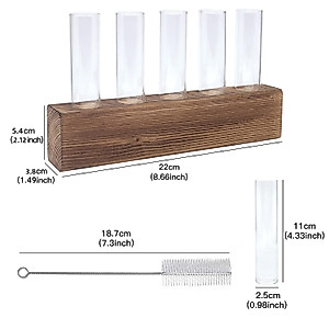 LitiVibecho Plant Propagation Station, Wooden Stand with 5 Glass Tubes, Desktop Plant Terrarium for Home Office Garden Decoration,Propagation Tube,Plant Propagation Tube,