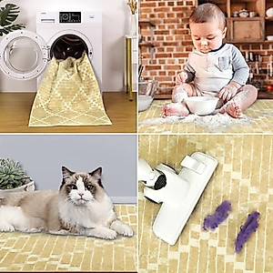 GAOMON Washable Area Rug Modern Geometric Living Room Rug Non-Slip Stain Resistant Contemporary Diamond Accent Rug Indoor Floor Carpet for Bedroom Entryway Laundry Room, 4' x 6', Taupe