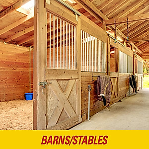 PIC FR10B Sticky Fly Ribbons, 20 Count