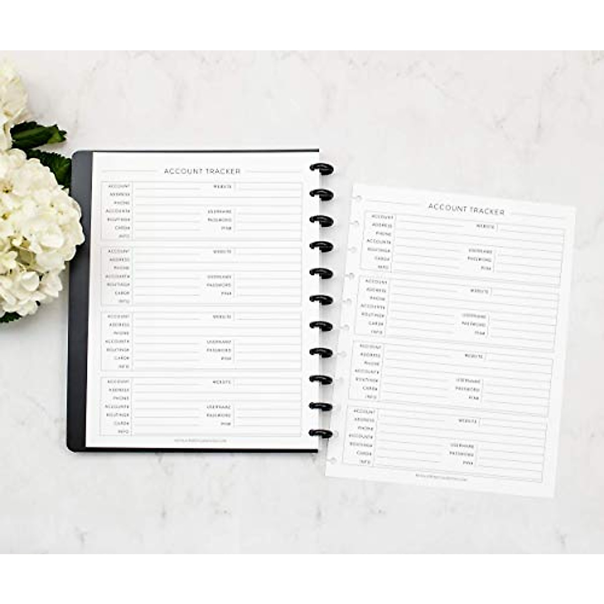 BetterNote Finance Plan Refill for Discbound Notebooks, Bill, Account, Expense, Budget, Fits Levenger Circa, The Happy Planner, Arc Systems, TUL, Talia, 1 Year Supply (11-Disc, 8.5"x11")